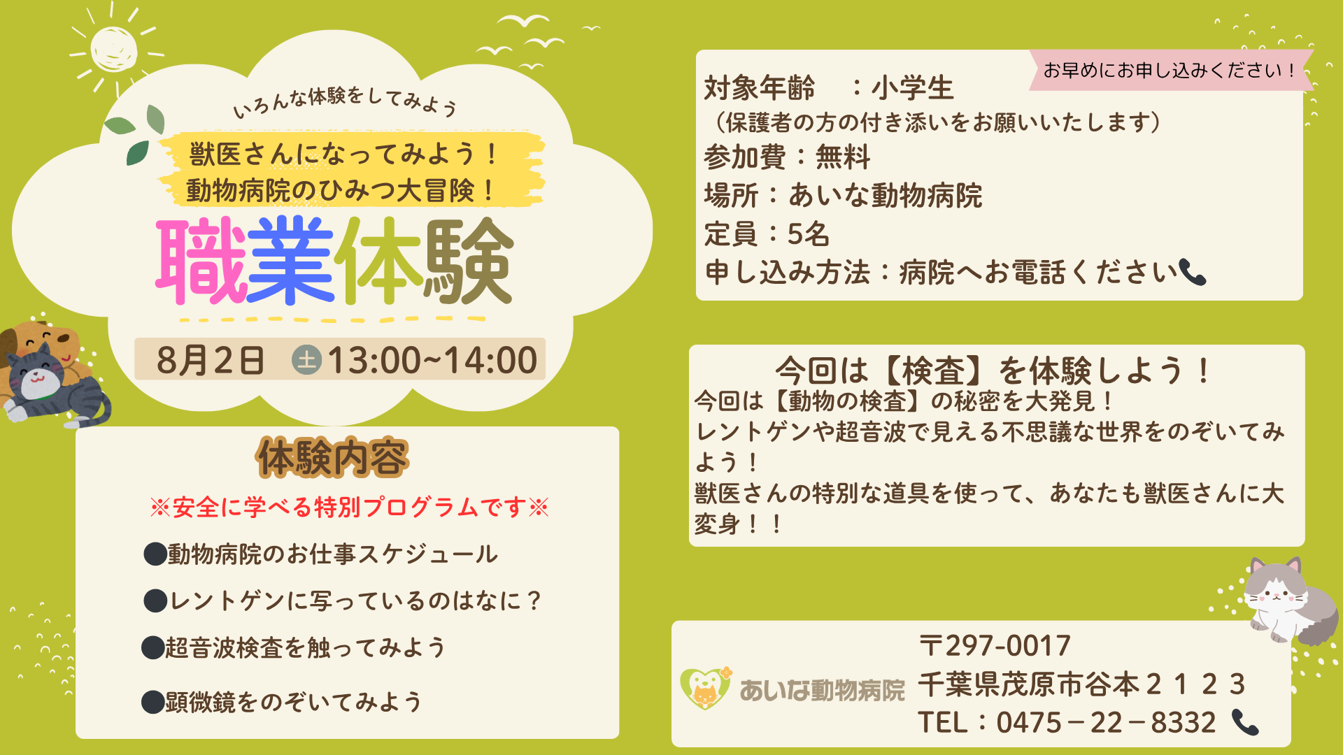 【募集終了】小学生向け職業体験｜獣医さんになろう！夏休みイベント