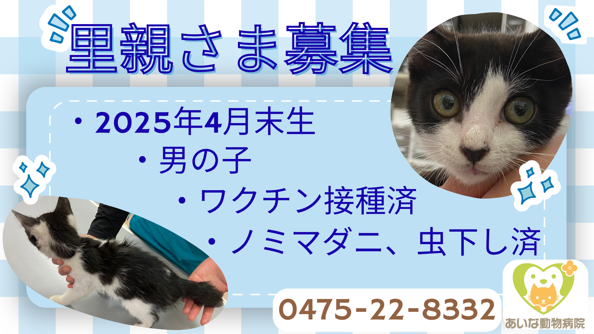 里親さま募集