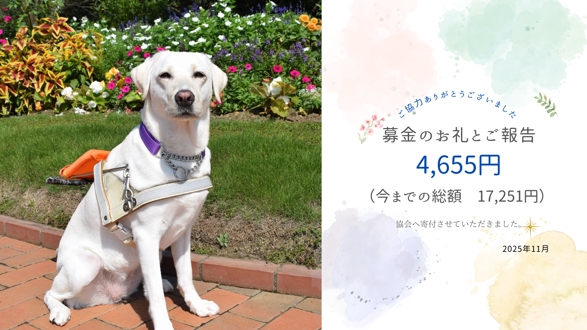 お知らせ